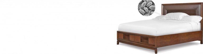 Home - Bioway Multi Insect and Dustmite Killer